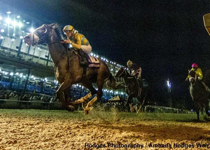 Enforceable, Finite To Be Pointed Toward Risen Star, Rachel Alexandra ...