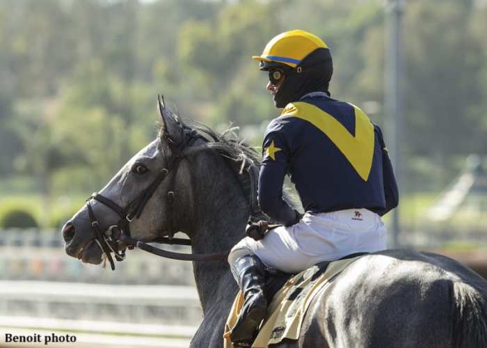 'She's Got A Big Future': Dogtag Takes Possibly Perfect As Heavy ...