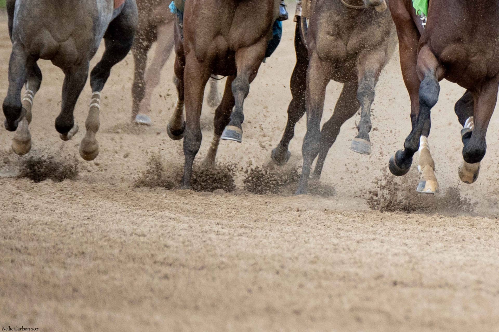 Stover: Don't Blame The Racing Surface And Other Lessons From Studying ...