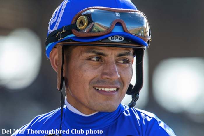 CHRB Stewards Outline 'Safety And Response Concerns' Over Cedillo ...