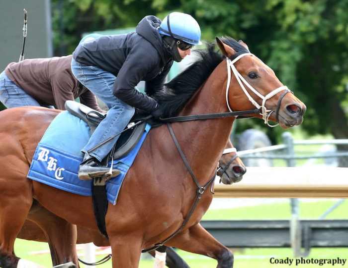 Cox: Louisiana Derby Winner Wells Bayou 'A Candidate Right Now' For ...