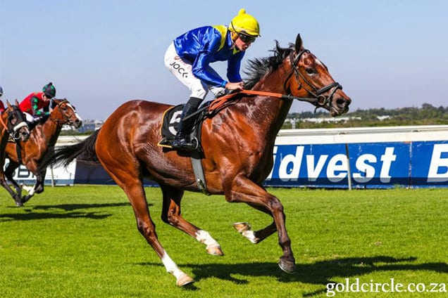 South Africa: Rainbow Bridge Faces Stiff Challenge In Sun Met Repeat ...