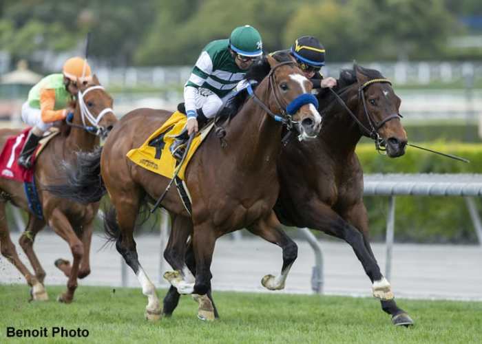 Cistron Gets A Perfect Trip For San Simeon Victory - Paulick Report ...