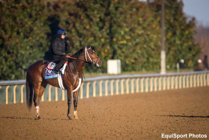 Delta Mile Winner Dreamer’s Disease Among 10 Supplements To Keeneland ...