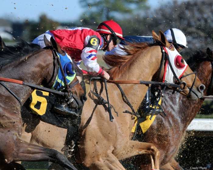 Del Mar And Santa Anita Prioritize Equine Safety With Shuttling Program ...