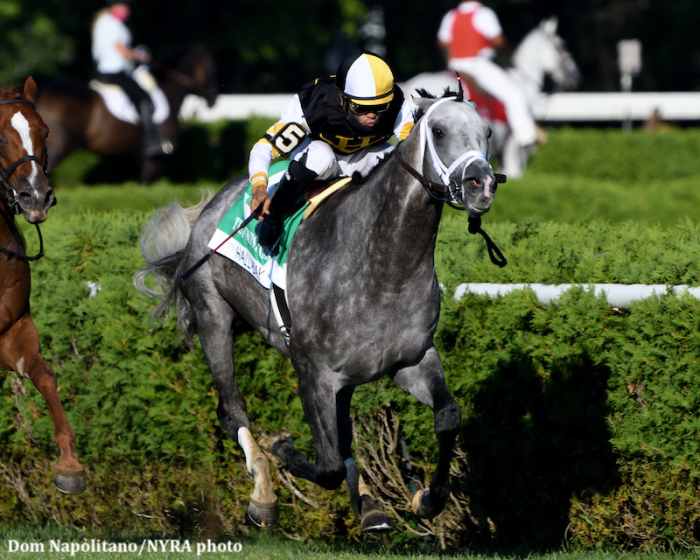 Equibase Analysis: Halladay Faces Tough Task In Ft. Lauderdale Stakes ...