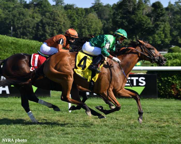 41 Years After His Waya Was Champion Mare, Brant Wins Race Named In Her ...
