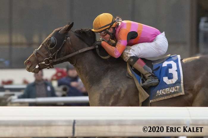 Bloodlines Presented By The Virginia Thoroughbred Association: Max ...