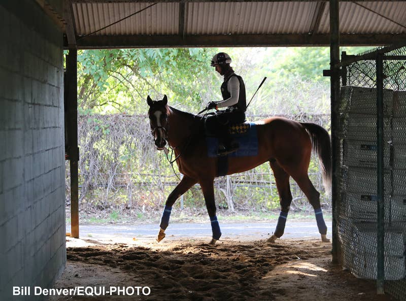 Jockey Ramon Moya Taking Gen Z For A Ride In The Mornings - Paulick ...
