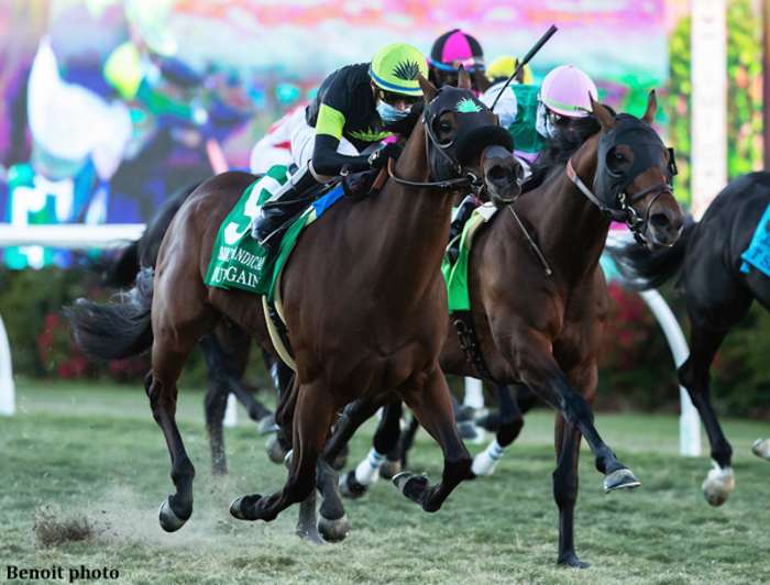 Count Again Wallops Seabiscuit Handicap Rivals With Strong Stretch ...
