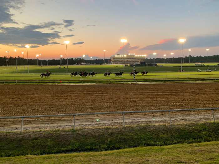 Colonial Downs: Frank Hopf, Stanley Shina Among Newly-Appointed Racing ...