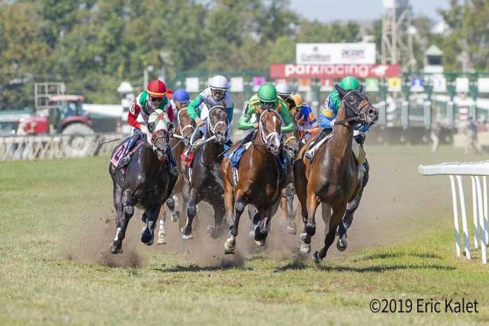 With To-Do List In Place, Parx Aiming To Resume Turf Racing Sept. 16 ...