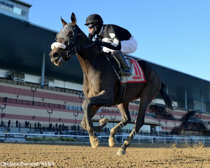 Laobanonaprayer Chasing Oaks Points In Busher Invitational - Paulick ...