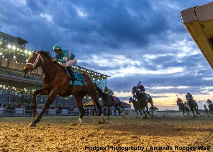 Mr. Monomoy Powers Home On Top In First Division Of Risen Star ...