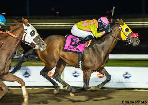 ‘It’s A Lot Of Fun': Owner Randy Howg Chasing Third Canadian Derby Win ...