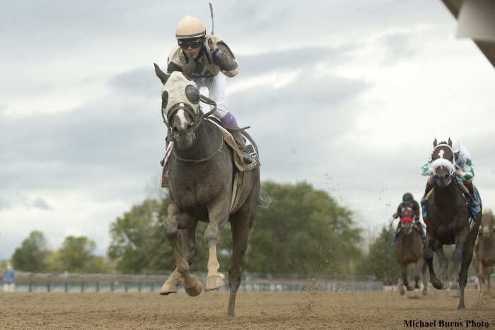 Mighty Heart Conquers Second Jewel Of Canadian Triple Crown - Paulick ...