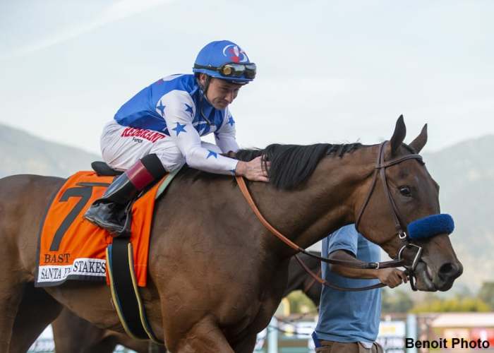 Bast Retired Due To Soft Tissue Injury, Headed To Kentucky For Breeding ...