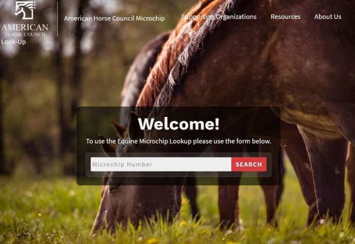 American Horse Council Joins Forces with AKC Reunite: Over 1 Million ...