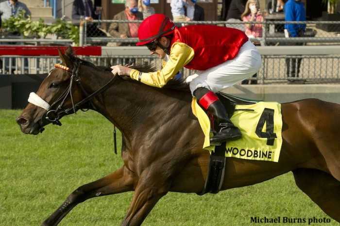 Rideforthecause Debuts For McCarthy In Sunday's Robert J. Frankel ...