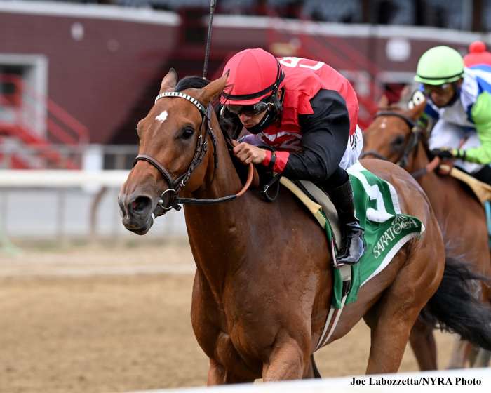 Frank's Rockette Retired, Mating Plans To Be Determined - Paulick ...