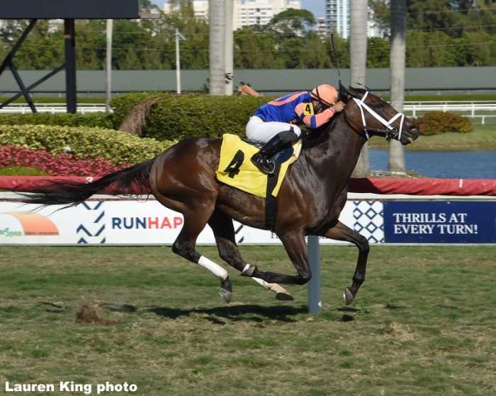Former Kentucky Derby Runner Noble Indy Makes 5-Year-Old Debut A ...