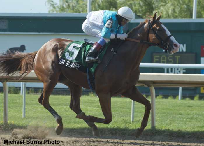 After Rescheduling, Dr Blarney Takes Fourth Consecutive Massachusetts ...