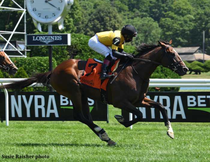 Decorated Invader Wins Hall Of Fame As Heavy Favorite - Paulick Report ...