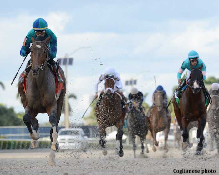 Nearly $22 Million Wagered On Record Holy Bull Day At Gulfstream ...