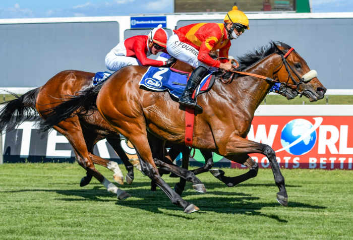 Belgarion Favored in South Africa's Cape Town Met - Paulick Report ...