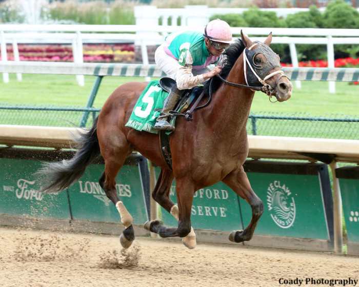 Fulsome Shuttling To Chile For 2024 Southern Hemisphere Season ...