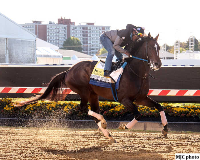 Preakness Notes: Winchell Hoping For Better Start From Midnight Bourbon ...