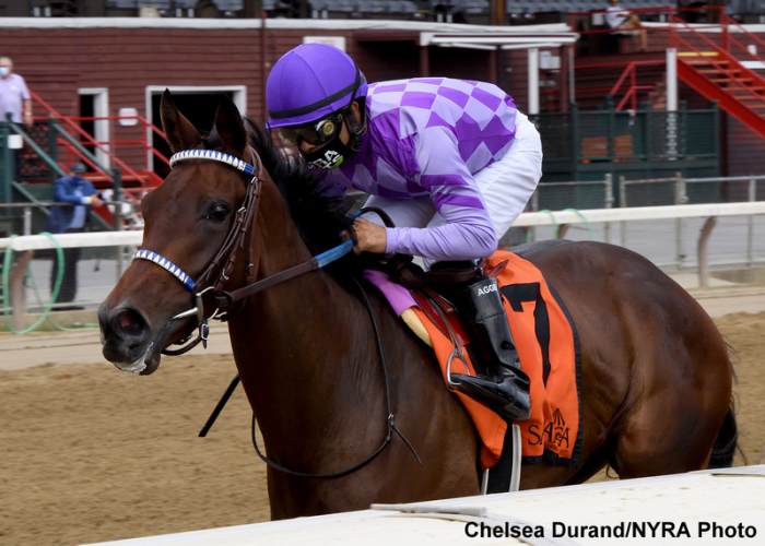 Simply Ravishing Retired, Breeding Plans To Be Determined - Paulick ...