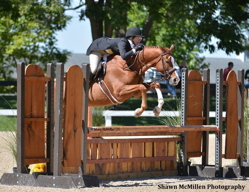MVP In The Show Ring: Former Racehorse Stars In $20,000 TAKE2 Finals ...