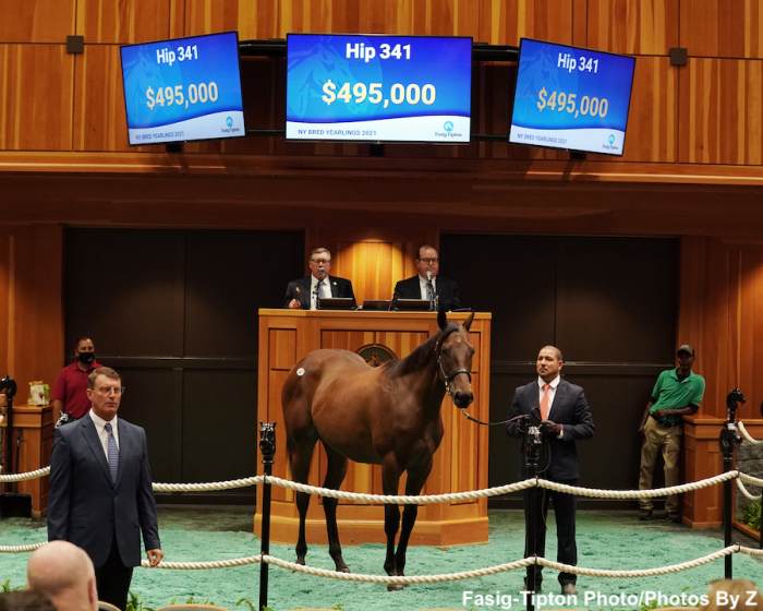 Uncle Mo Filly Tops Opening Session Of Fasig-Tipton New York-Bred ...
