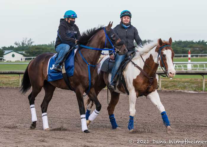 Jesus' Team To Enter Dubai World Cup As 'Fresh Horse' - Paulick Report ...