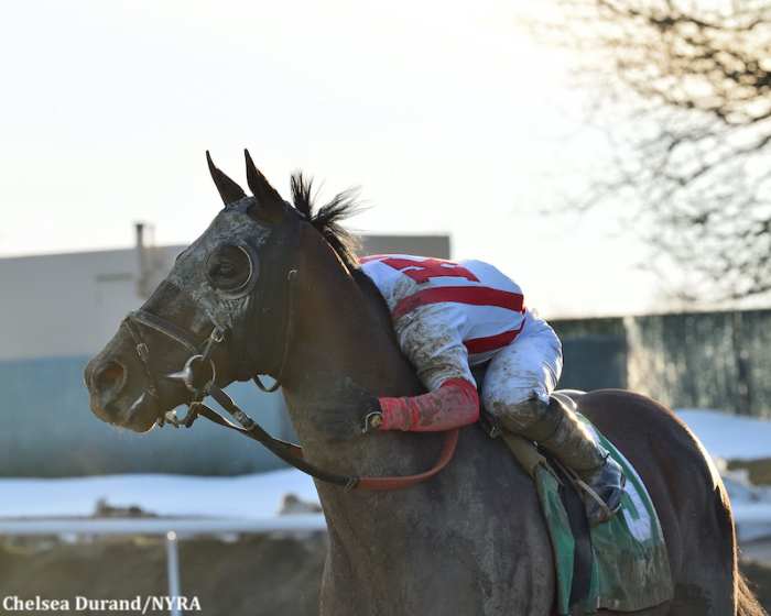 'Getting The Classic Distances Won’t Be Much Of A Problem' For Withers ...