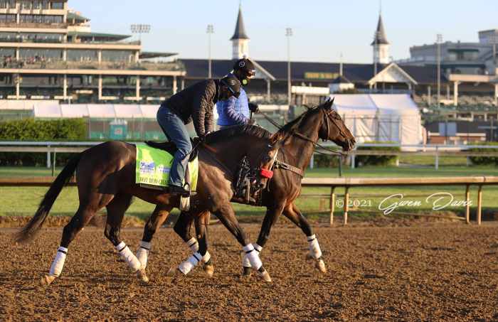 Belmont: Prat Expected To Ride Hot Rod Charlie Over Preakness Winner ...
