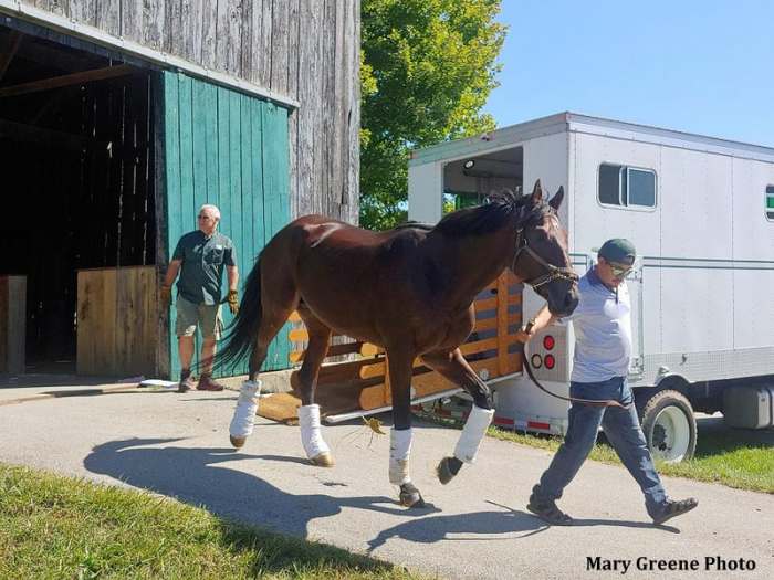 Multiple Graded Stakes Winner Rocketry Arrives At Old Friends - Paulick ...