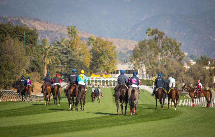 Santa Anita Announces Turf Starter Series For Fillies & Mare; Eight ...