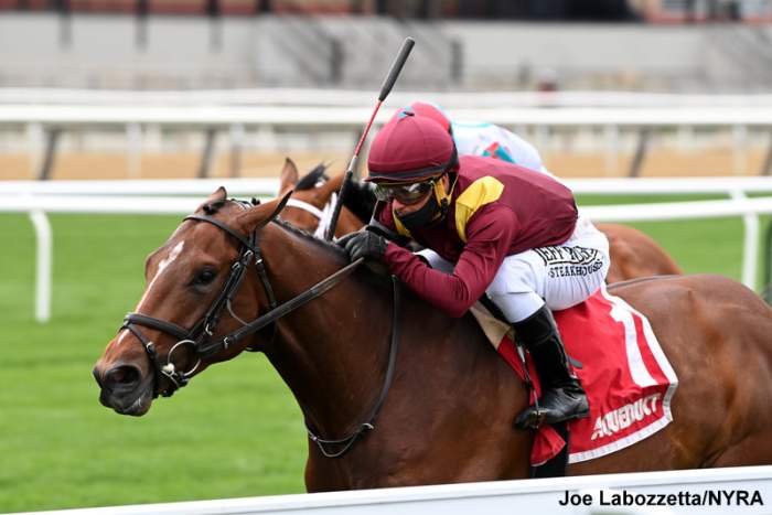 Hard Love Stretches Out In Saturday's Pennine Ridge - Paulick Report ...