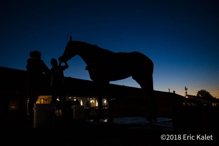 NTRA: Additional 20,000 H-2B Visas Available In First Half Of Fiscal Year - Paulick Report ...