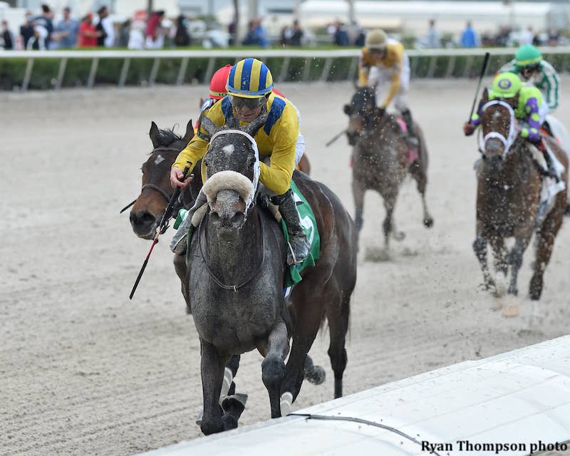 One-Time $25,000 Claim Queen Nekia Earns Graded Status With Royal Delta ...