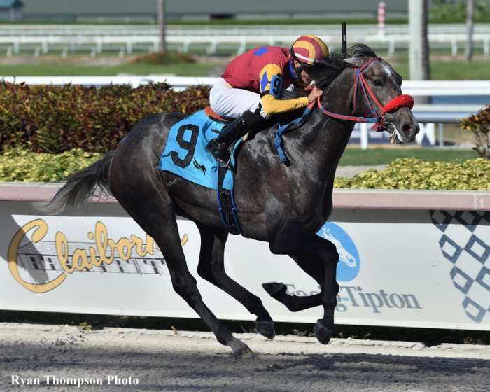 Mucho Macho Man Stakes: Strike Hard Aiming For Strong Start On Road To ...