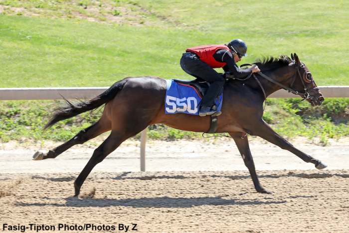 Four Tie For Fastest Furlong During Final Fasig-Tipton Midlantic Under ...