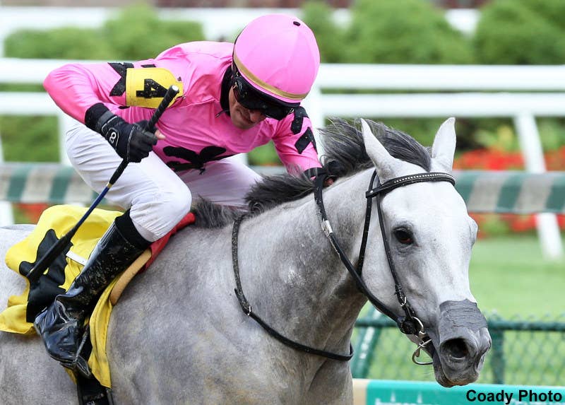 Chase Miller Scores First Victory Aboard His Father's Trainee At ...