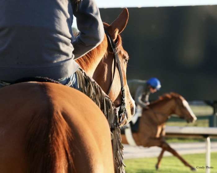 Gilligan: Some Trainers Cheat, Some Are Horse Whisperers - Paulick ...