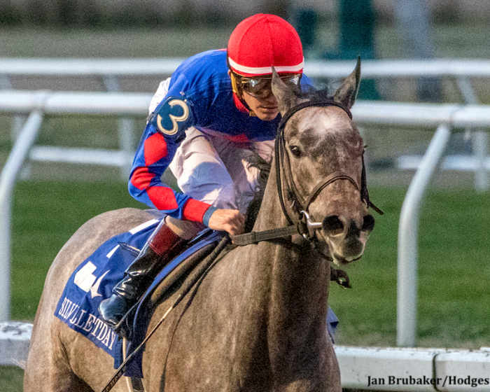 Morning-Line Choice Charlie's Penny Will Be Tested In Krantz Memorial ...