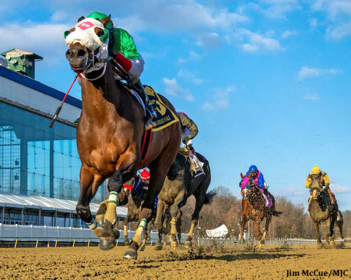 Share The Ride Takes Inside Route To Victory In General George ...