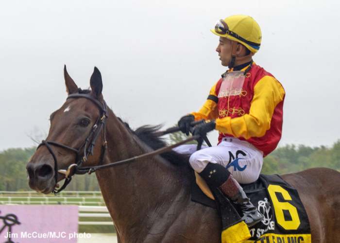 Battle Bling Goes All The Way In Turnback The Alarm - Paulick Report ...