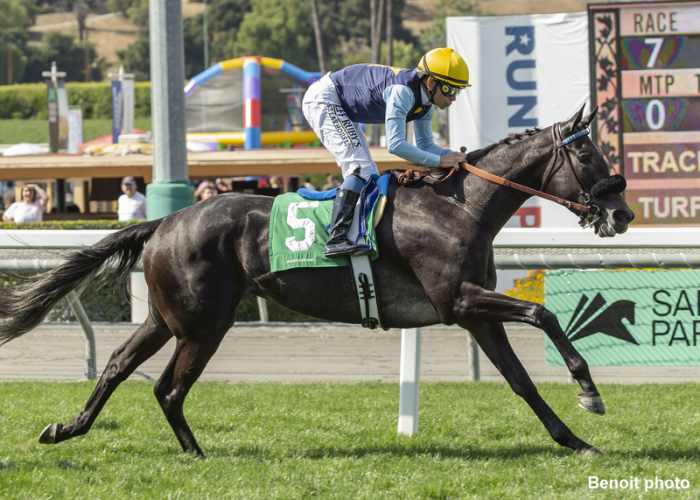 Cairo Memories Tops Field Of 12 In Saturday's Autumn Miss - Paulick ...